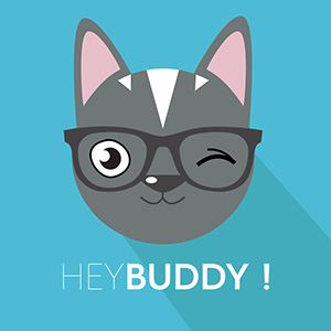 Découvrez l'histoire de la startup Hey Buddy | J' ️ les startups